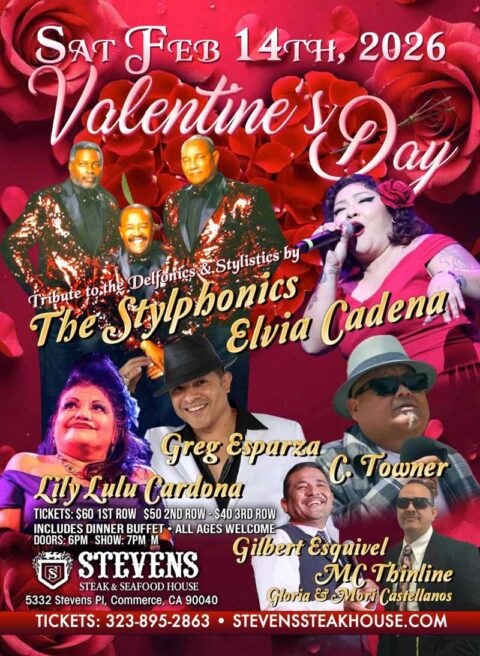 CONCERTS & EVENTS | Stevens